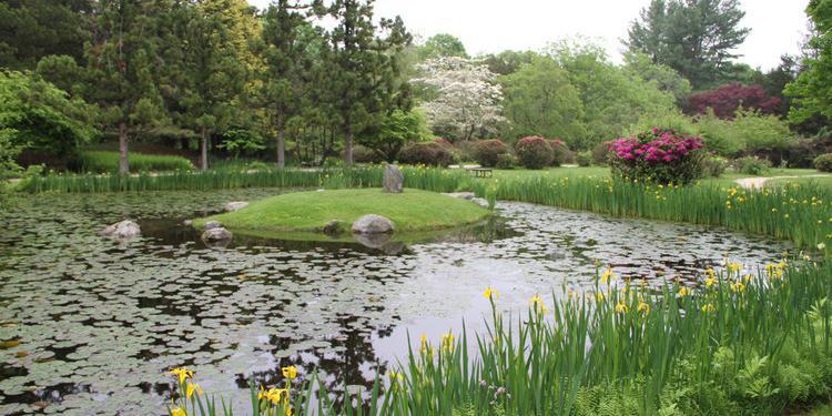 Hammond Museum & Japanese Stroll Gardens | Venue, North Salem