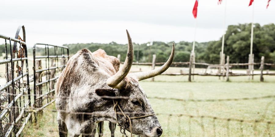 Don Strange Ranch | Venue, Boerne | Get your price estimate
