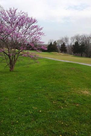 Eagle Knoll Golf Course | Venue, Hartsburg | Price it out