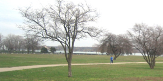 Erma Henderson Park | Venue, Detroit | Get your price estimate