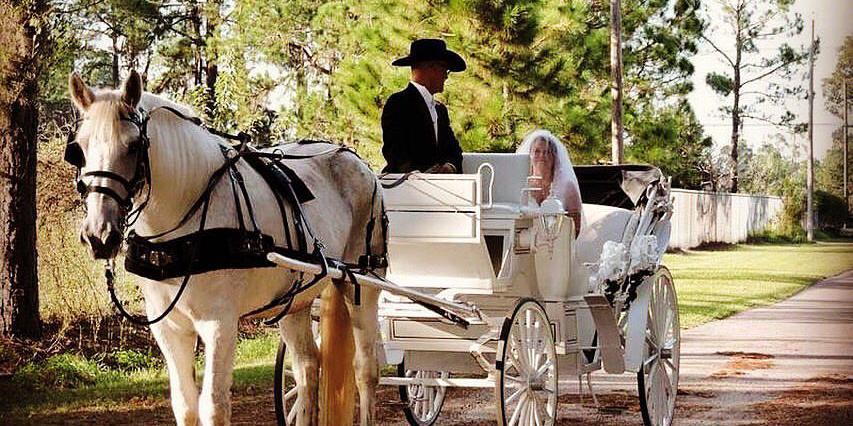 The Music Ranch | Venue, Lakeland | Get your price estimate