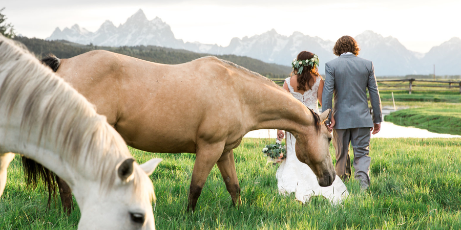 Diamond Cross Ranch | Venue, Jackson Hole | Price it out