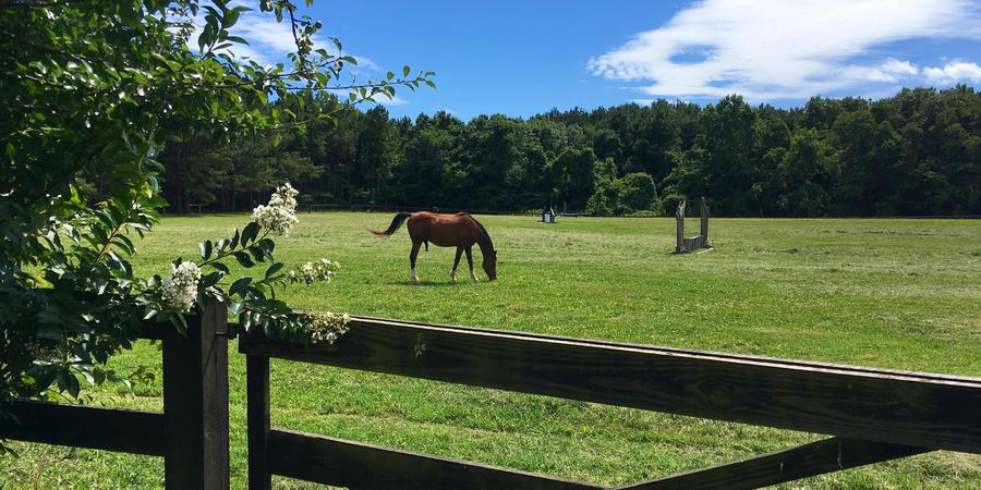 Green Valley Farm | Venue, Machipongo | Get your price estimate