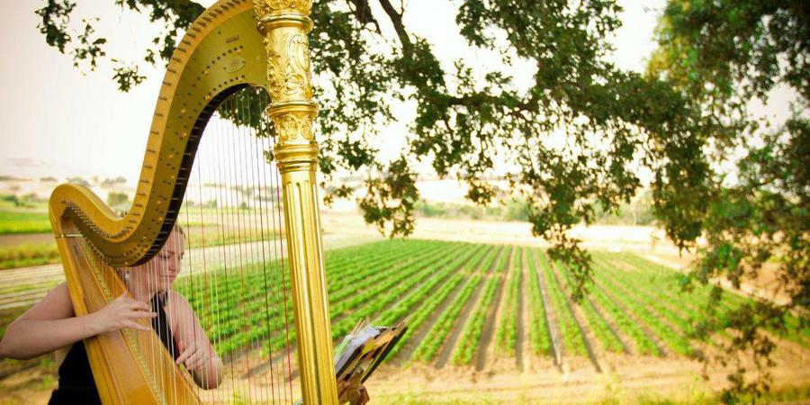 Capay Organic Farm | Venue, Capay | Get your price estimate