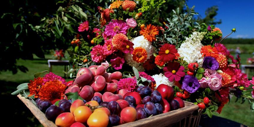 Hurd Orchards | Venue, Holley | Get your price estimate today!