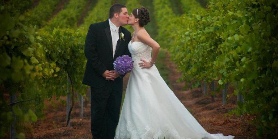 Woodmill Winery | Venue, Vale | Get your price estimate today!