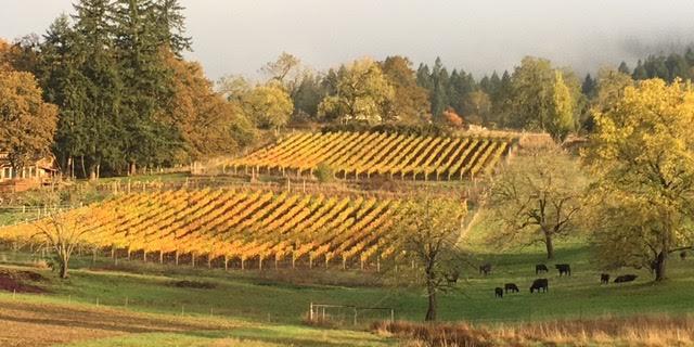 Natalie's Estate Winery | Venue, Newberg | Price it out