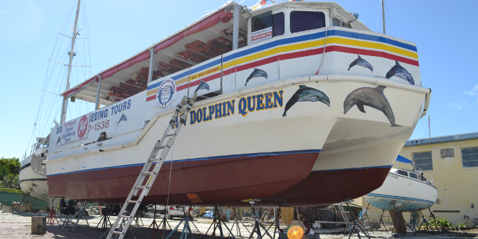 Pier Dolphin Cruises | Venue, St. Petersburg | Price it out