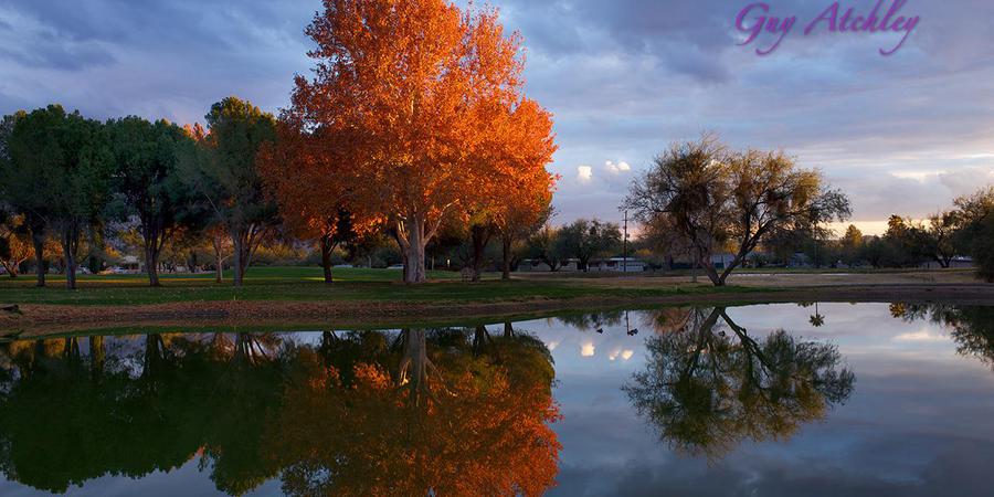 Forty Niner Country Club | Venue, Tucson | Price it out