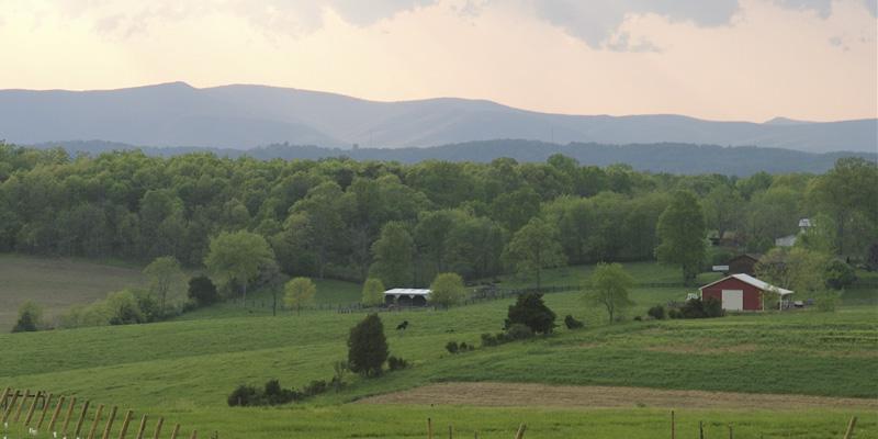 Barren Ridge Vineyards | Venue, Fishersville | Price it out