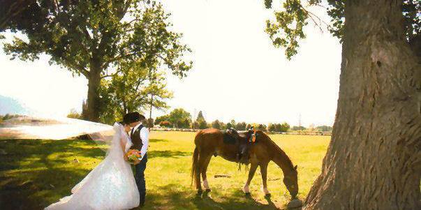 Corley Ranch Weddings | Get Prices for Wedding Venues in NV
