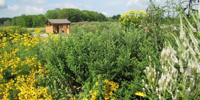 Frohring Meadows, Geauga Park District | Venue, Chagrin Falls