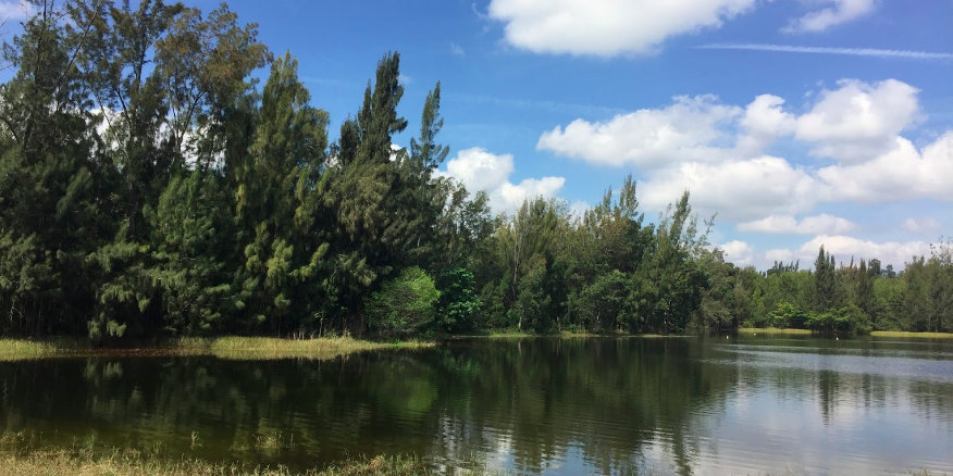 Tree Tops Park | Venue, Davie | Get your price estimate today!