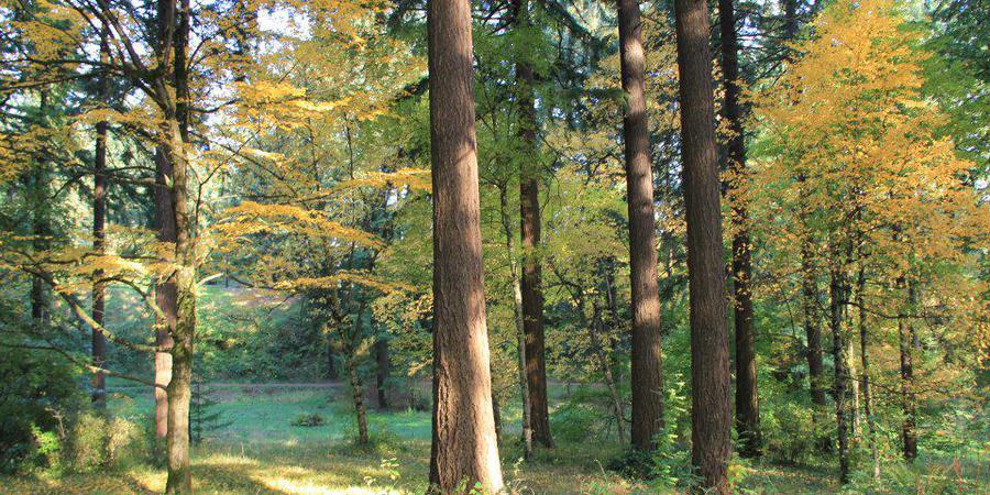 Hoyt Arboretum | Venue, Portland | Get your price estimate today!