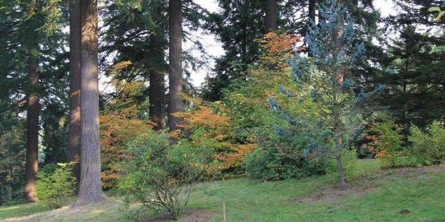 Hoyt Arboretum | Venue, Portland | Get your price estimate today!