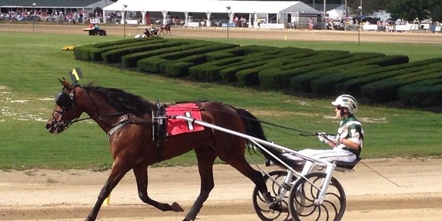 Harness Racing Museum & Hall of Fame | Venue, Goshen