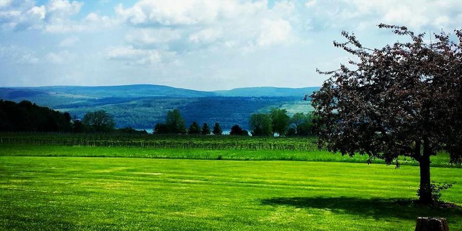 Castel Grisch Winery Weddings | Get Prices for Wedding Venues in NY
