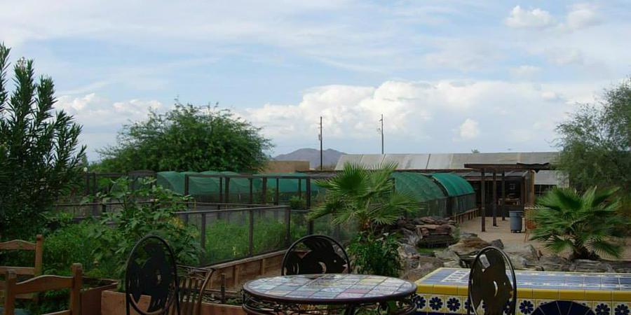 El Encanto Dos Weddings | Get Prices for Wedding Venues in AZ