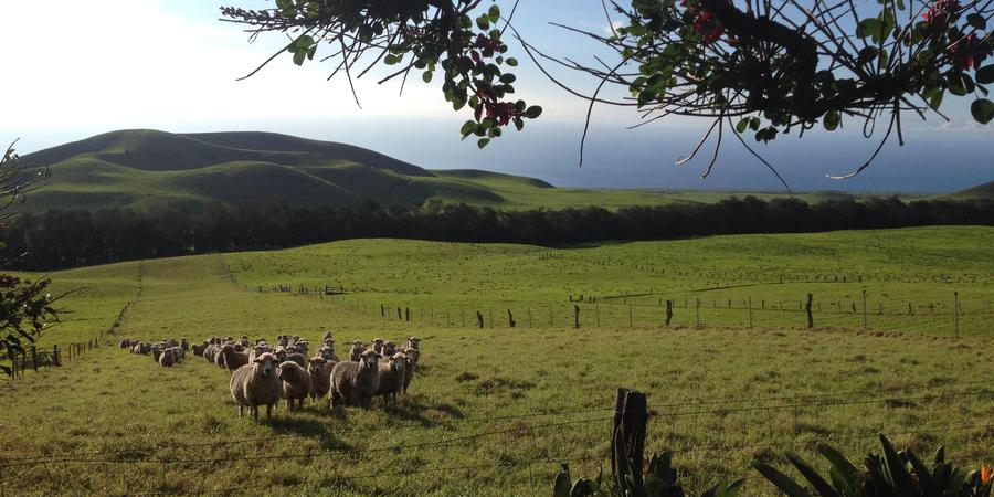 Kahua Ranch | Venue, Kamuela | Get your price estimate today!