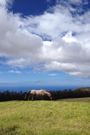 Kahua Ranch | Venue, Kamuela | Get your price estimate today!