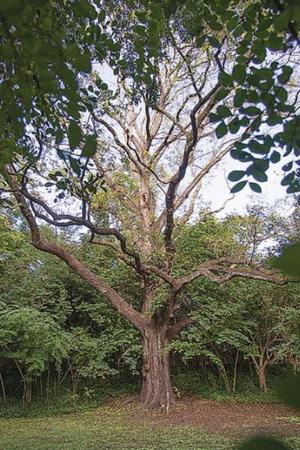 Fort Boykins Historic Park | Venue, Smithfield | Price it out