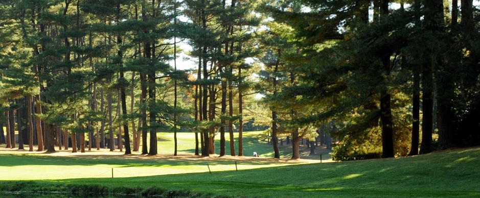 Needham Golf Club Wedding Needham House Wedding Venue | Bridebook