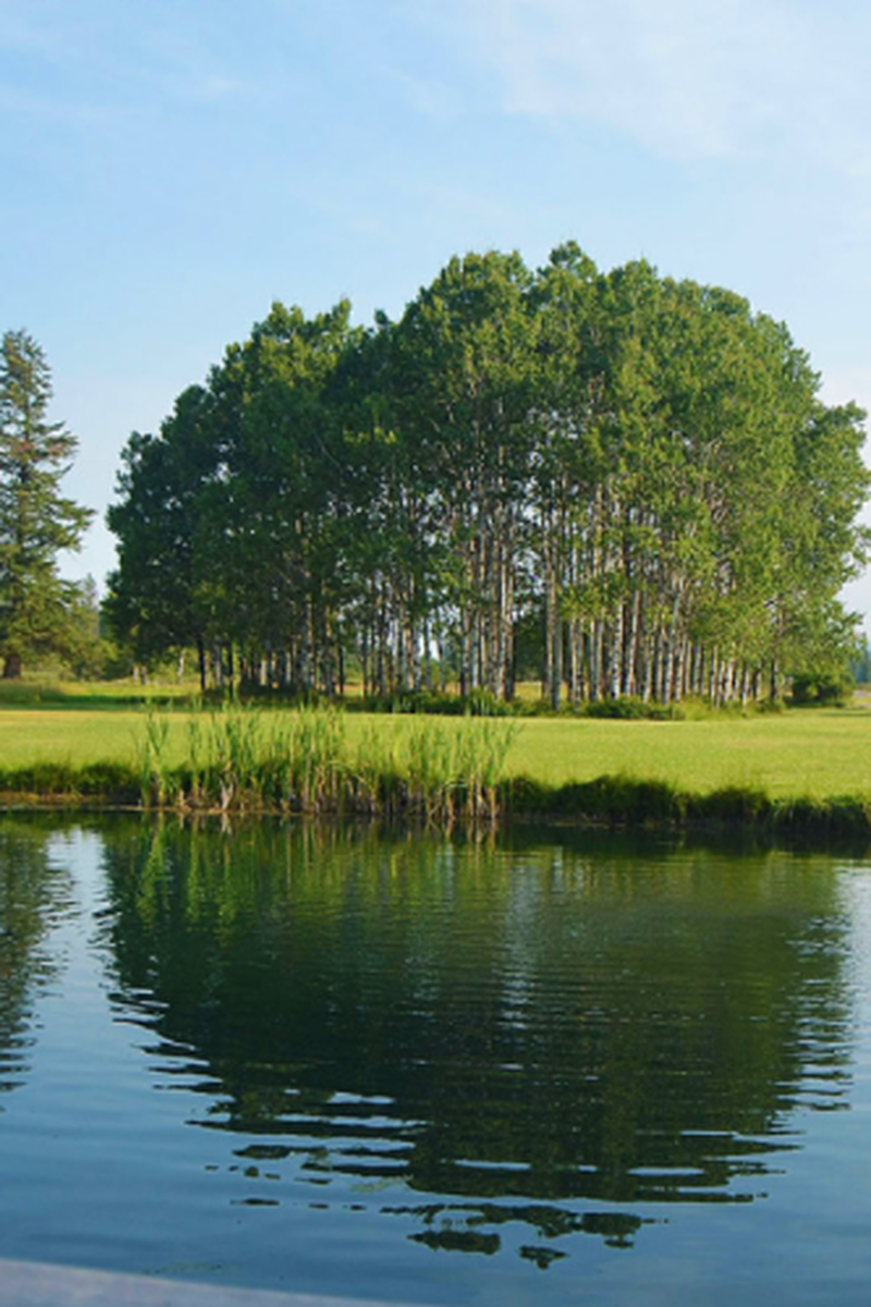 Sky Ridge Ranch Weddings | Get Prices for Wedding Venues in MT