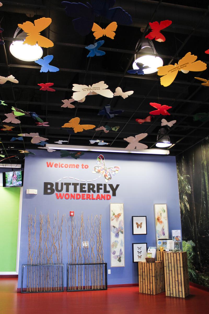 Butterfly Wonderland Weddings | Get Prices for Wedding Venues in AZ