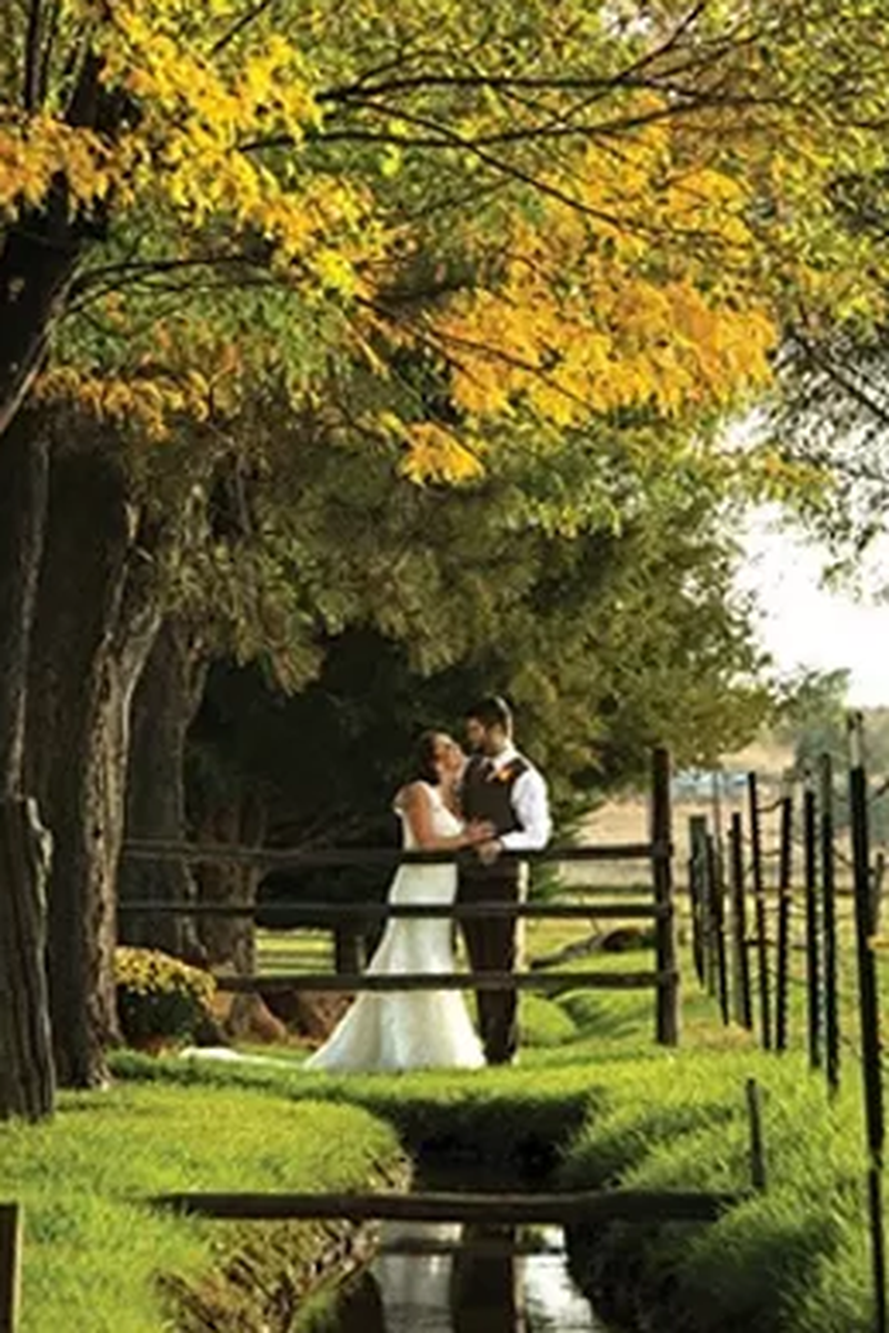 Shupe Homestead Weddings | Get Prices for Wedding Venues in CO