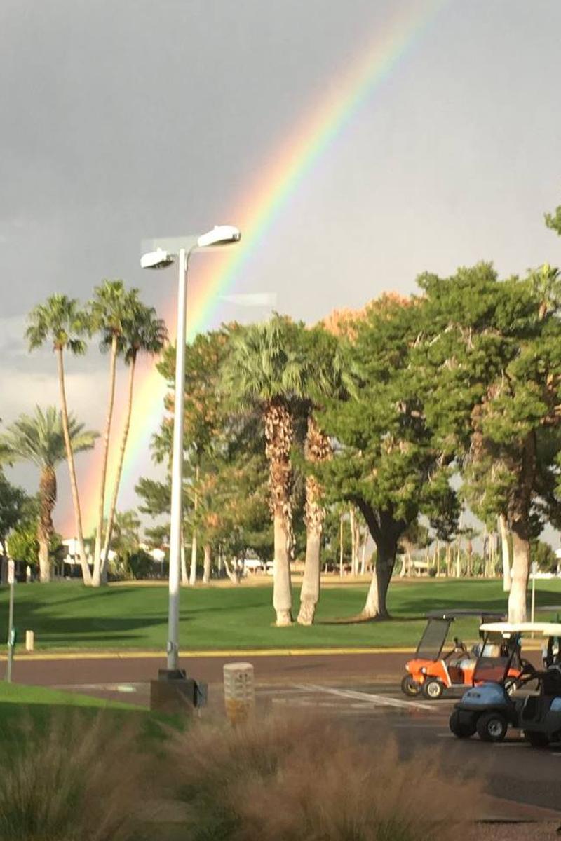 Grand Elegance at Apache Wells Country Club Weddings | Get Prices for ...