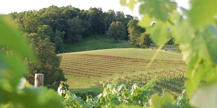 Addison Farms Vineyard Weddings | Get Prices for Wedding Venues in NC