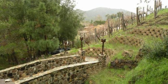 Lobo Castle Weddings | Get Prices for Wedding Venues in CA