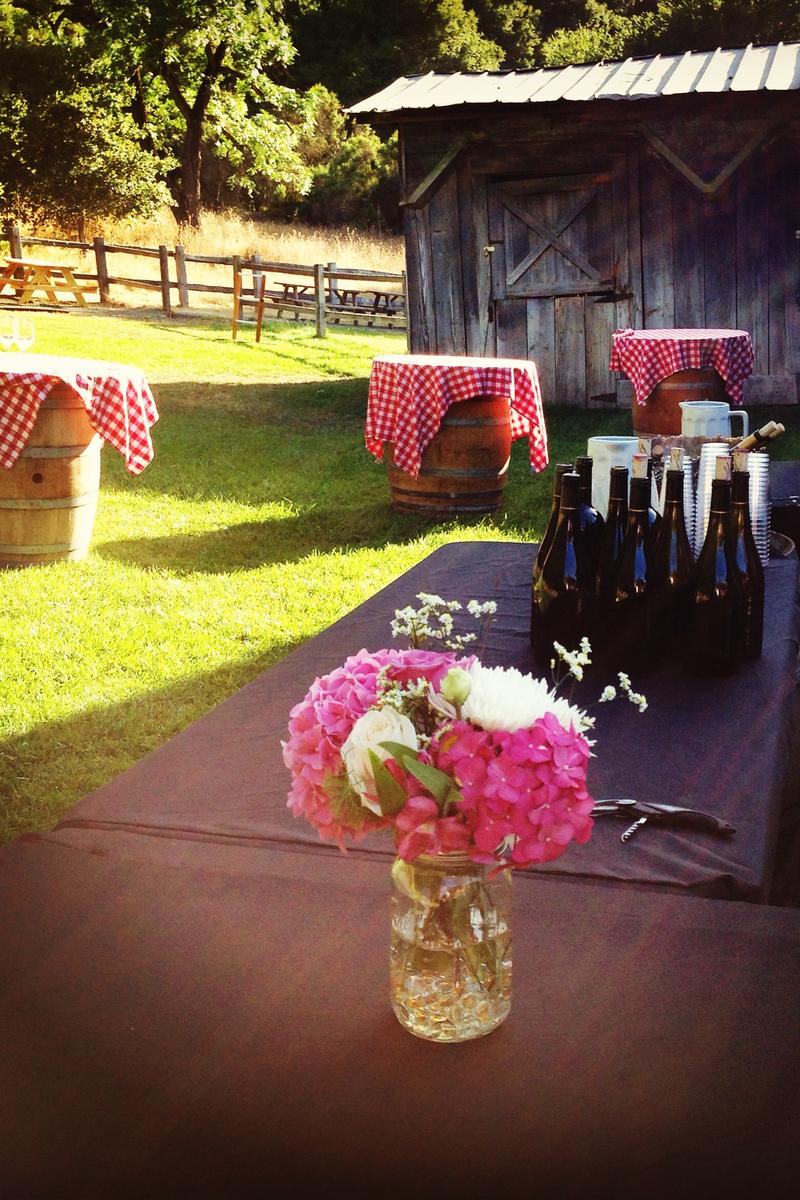 Picchetti Winery Weddings | Get Prices for Wedding Venues in CA