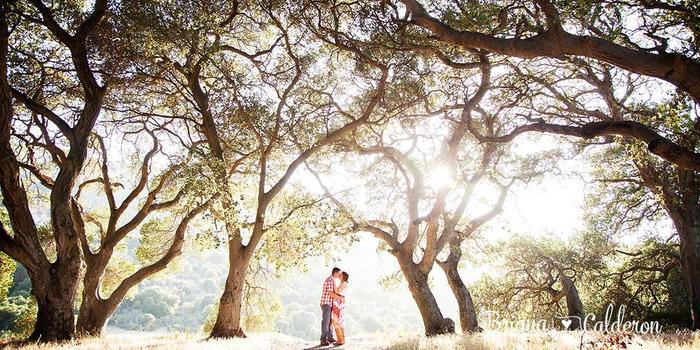 Picchetti Winery Weddings | Get Prices for Wedding Venues in CA