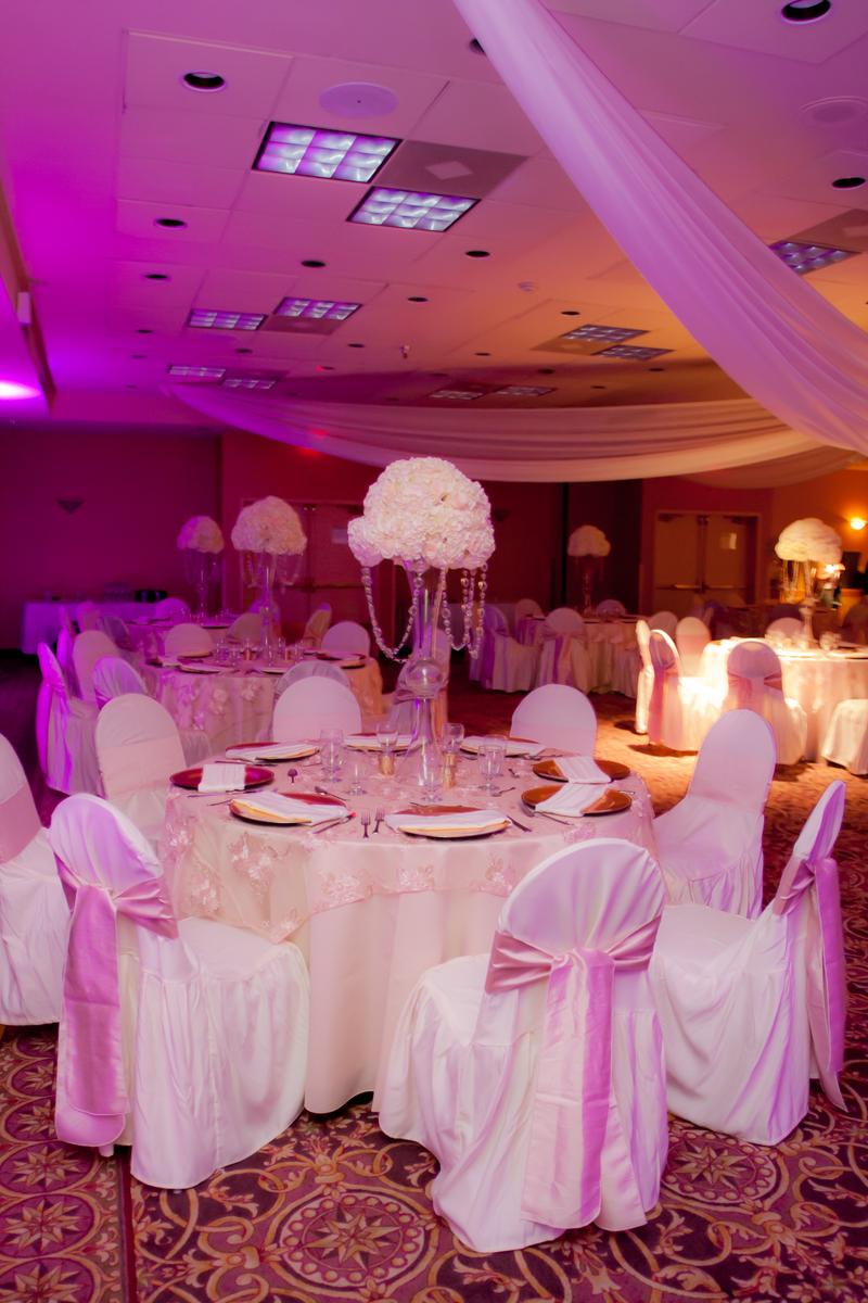 Holiday Inn Orlando International Airport Weddings | Get Prices for ...