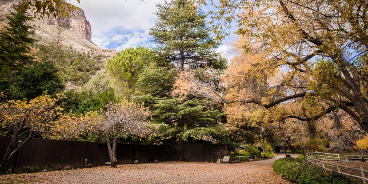 Briar Patch Inn Weddings | Get Prices for Wedding Venues in Sedona, AZ