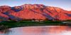 Cimarron Golf Resort Weddings | Get Prices for Wedding Venues in CA