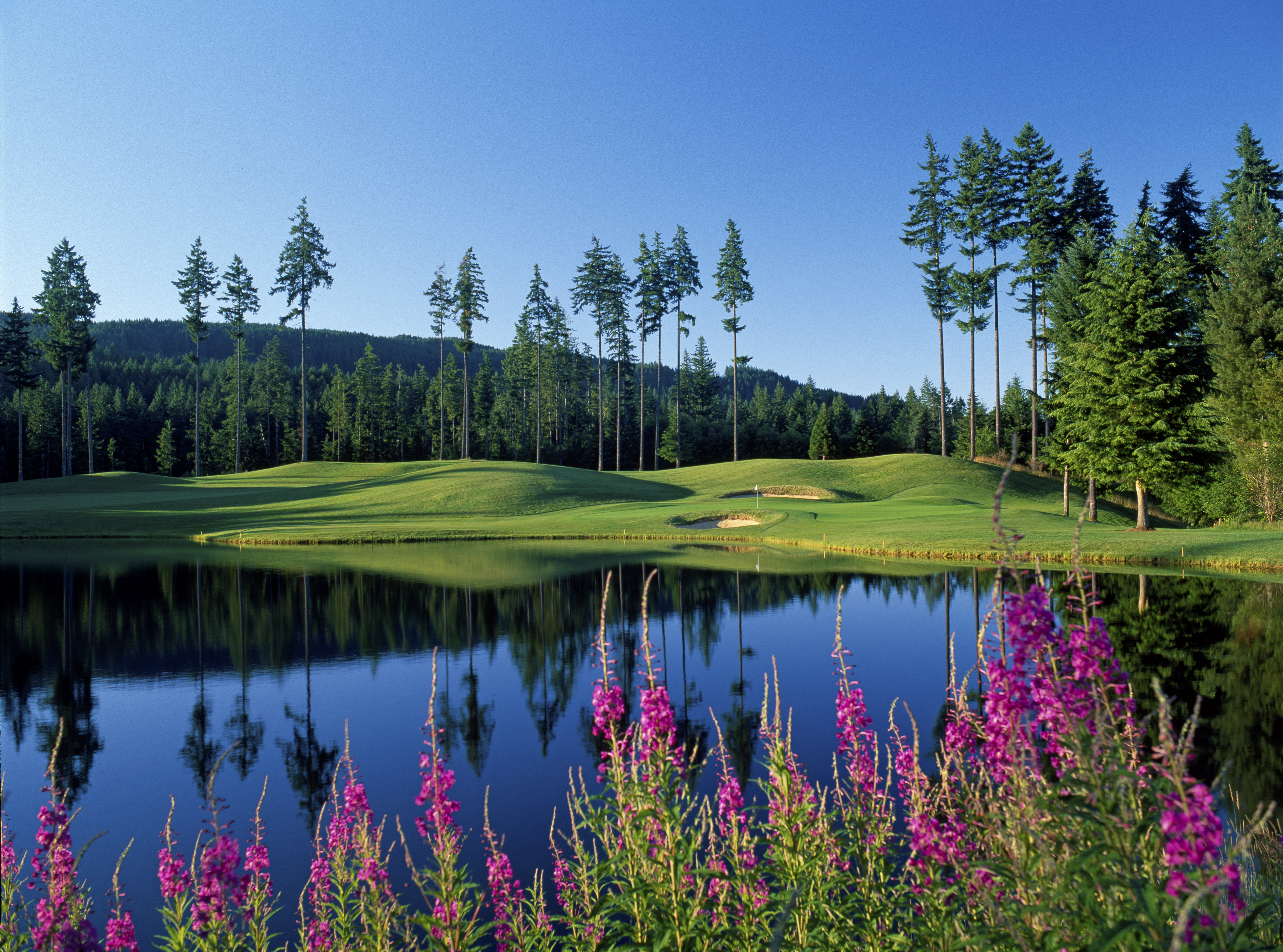 Gold mountain golf course wedding | Beachweddingtips.com