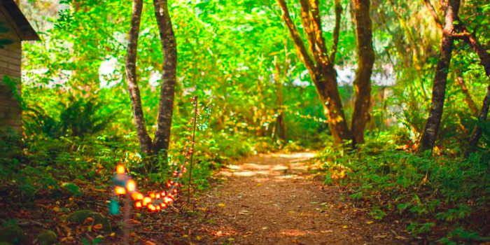 Pomeroy Farm Weddings | Get Prices for Wedding Venues in Yacolt, WA