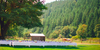 Pomeroy Farm Weddings | Get Prices for Wedding Venues in Yacolt, WA
