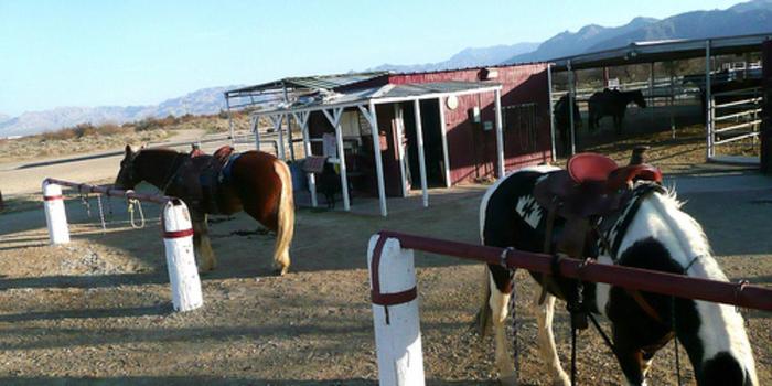 Sandy Valley Ranch Weddings | Get Prices for Wedding Venues in NV