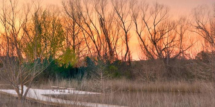 Cibolo Nature Center Weddings | Get Prices for Wedding Venues in TX