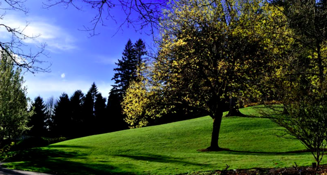 Washington Park Amphitheater Wedding