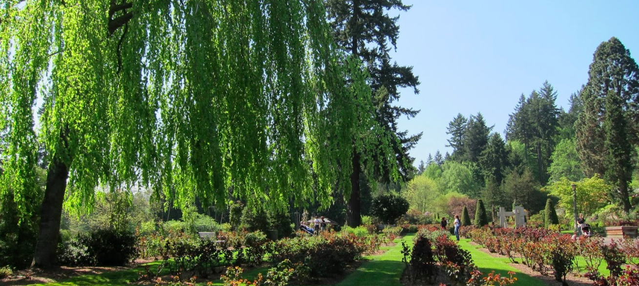 Washington Park Amphitheater Wedding