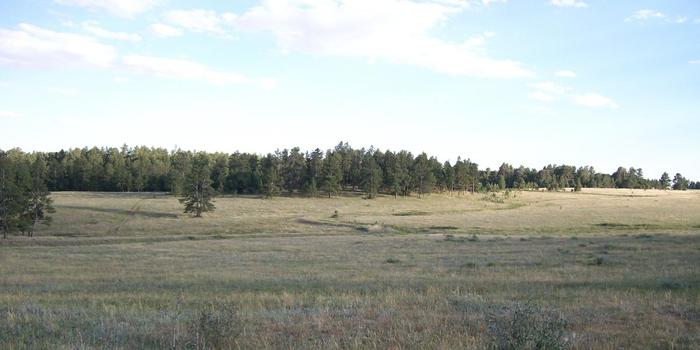 JCC Ranch Camp Weddings | Get Prices for Wedding Venues in Elbert, CO