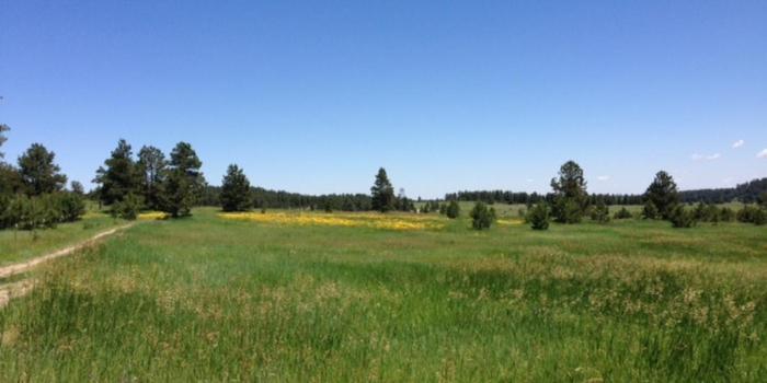 JCC Ranch Camp Weddings | Get Prices for Wedding Venues in Elbert, CO