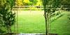 Cheval Manor Ranch Weddings | Get Prices for Wedding Venues in TN