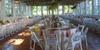 The Lace Factory Weddings | Get Prices for Wedding Venues in CT