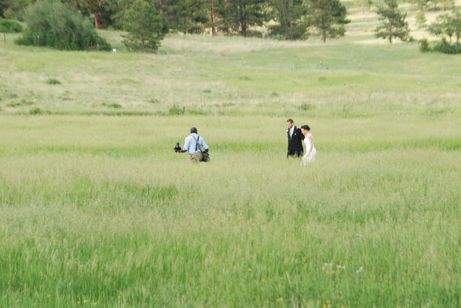 Conifer wedding venues | Beachweddingtips.com