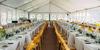 320 Guest Ranch Weddings | Get Prices for Wedding Venues in MT